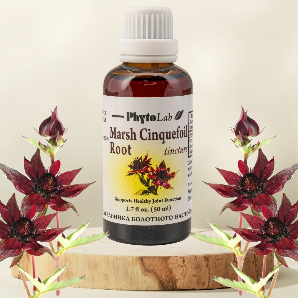 Marsh Cinquefoil Root Tincture - 1.7 fl oz - Herbal Tincture for Oral ...